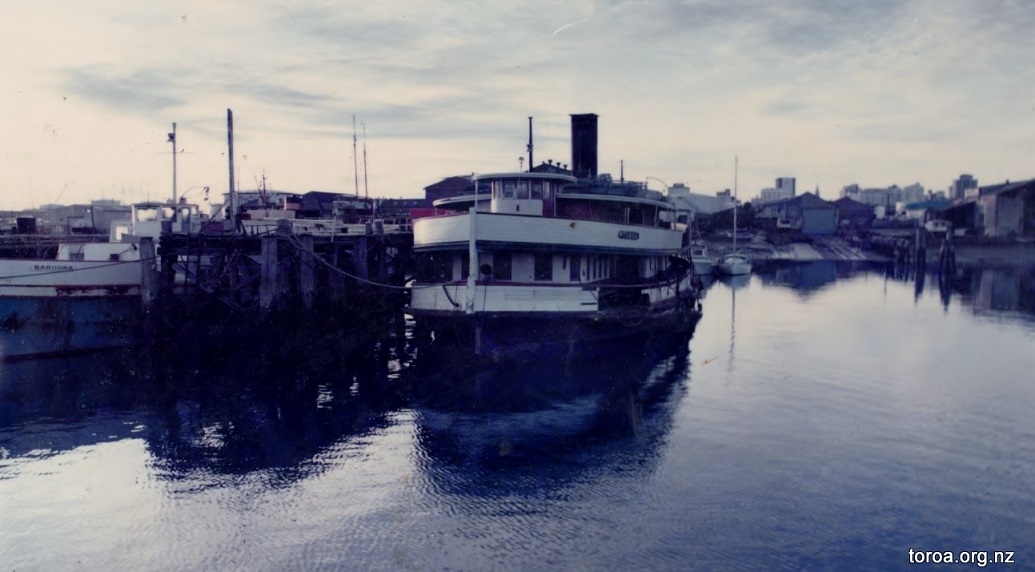 1988 Toroa slipped for inspection – Steam Ferry Toroa